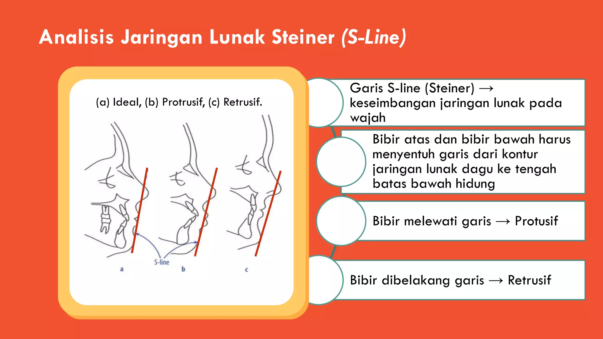 Analisis Steiner & Down.pdf