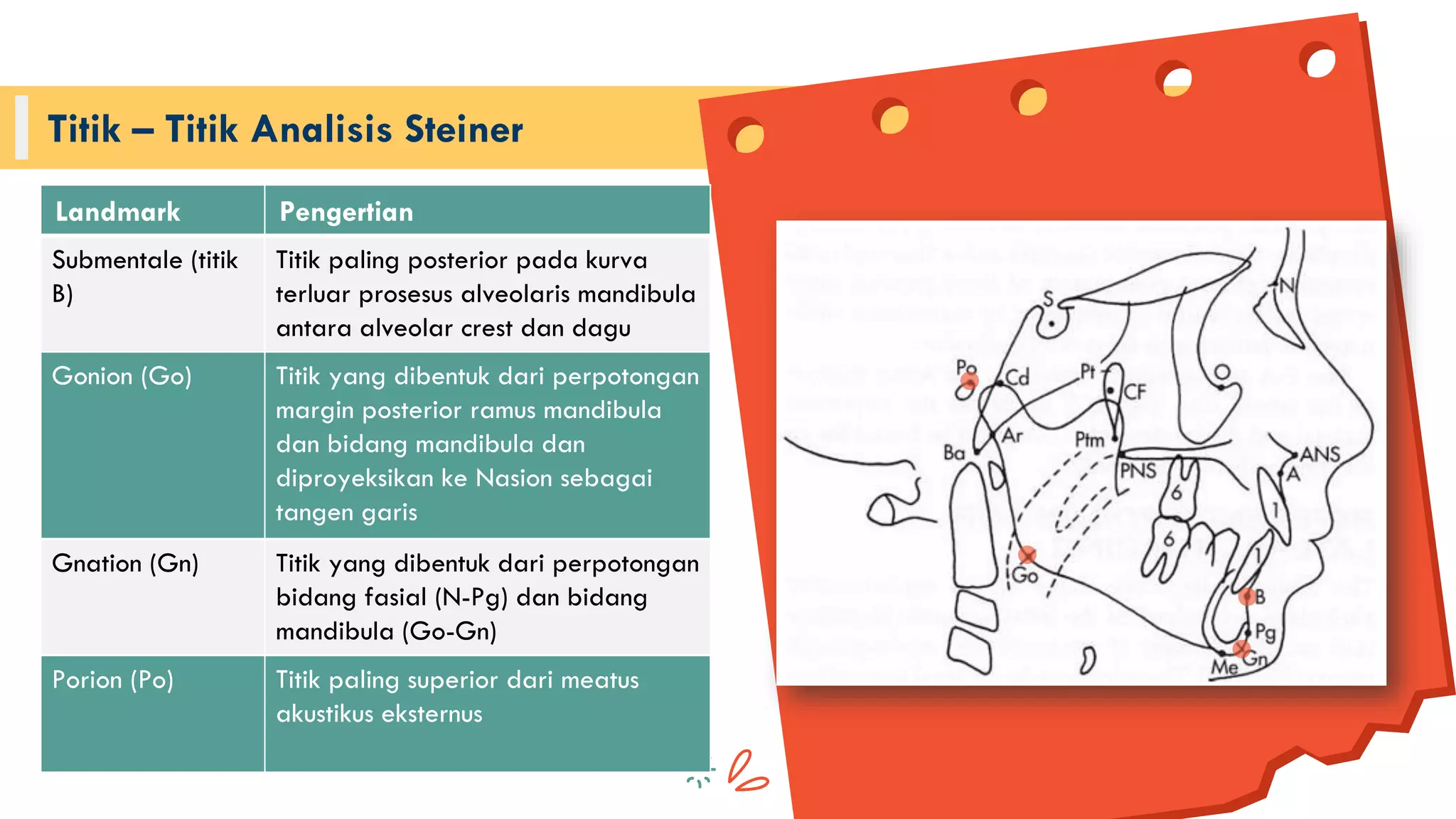 Analisis Steiner & Down.pdf