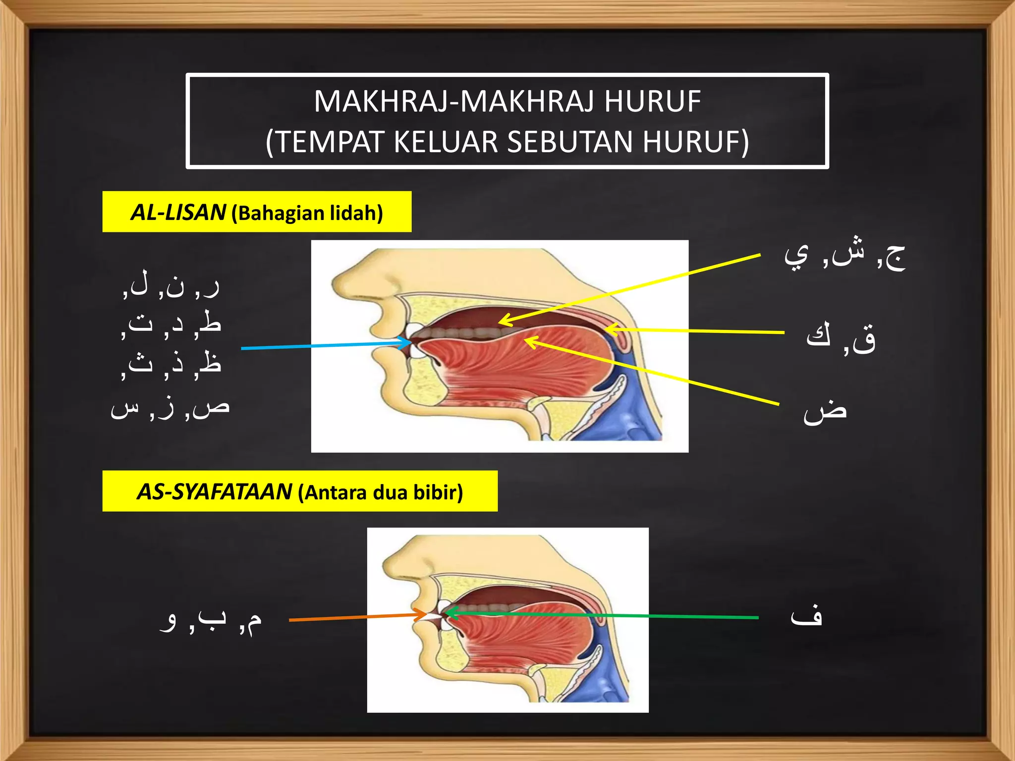 TAJWID - Topik 2 : Makhraj-makhraj Huruf | PDF