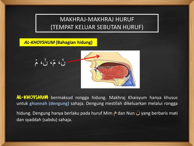 TAJWID - Topik 2 : Makhraj-makhraj Huruf | PDF