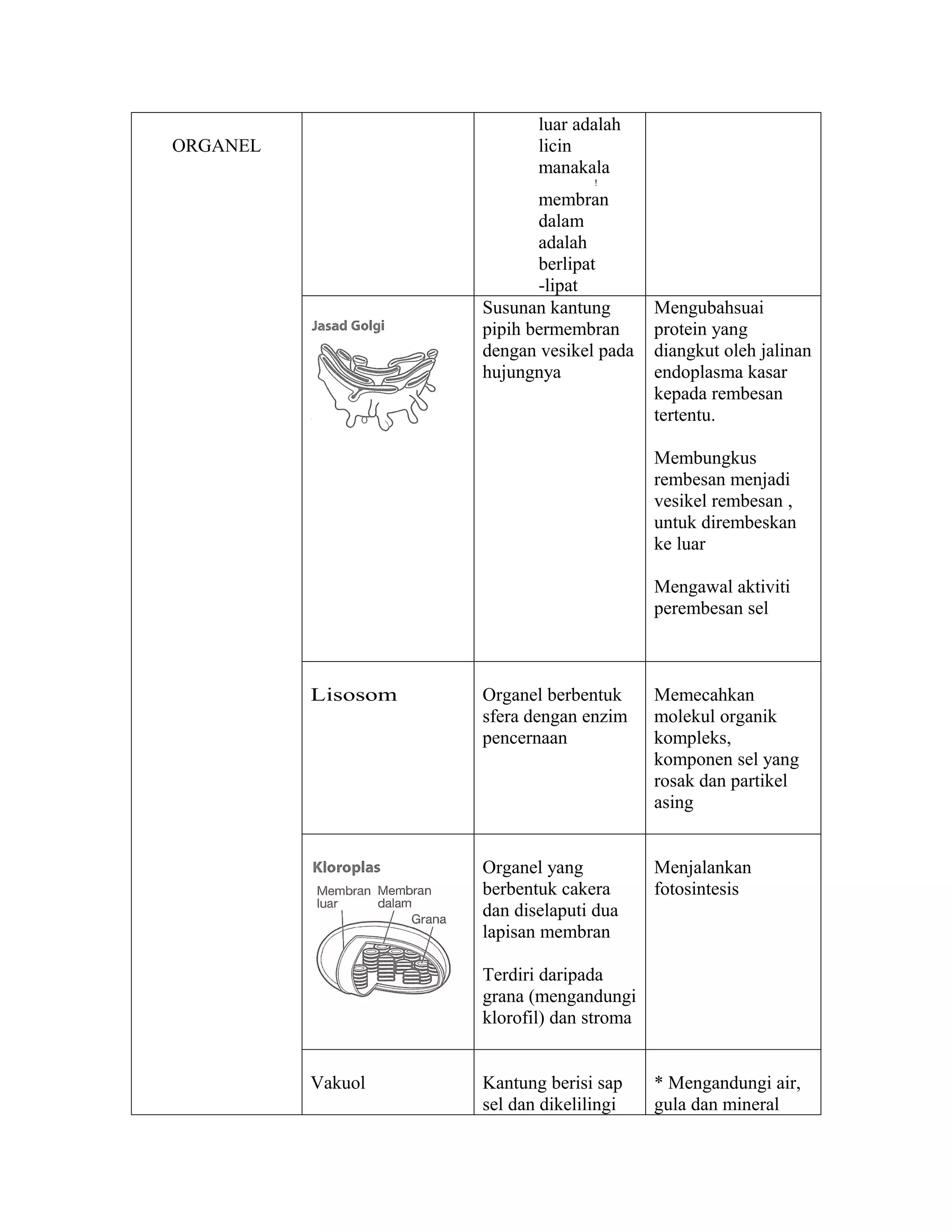 Topik 2 struktur dan organisasi sel | DOC