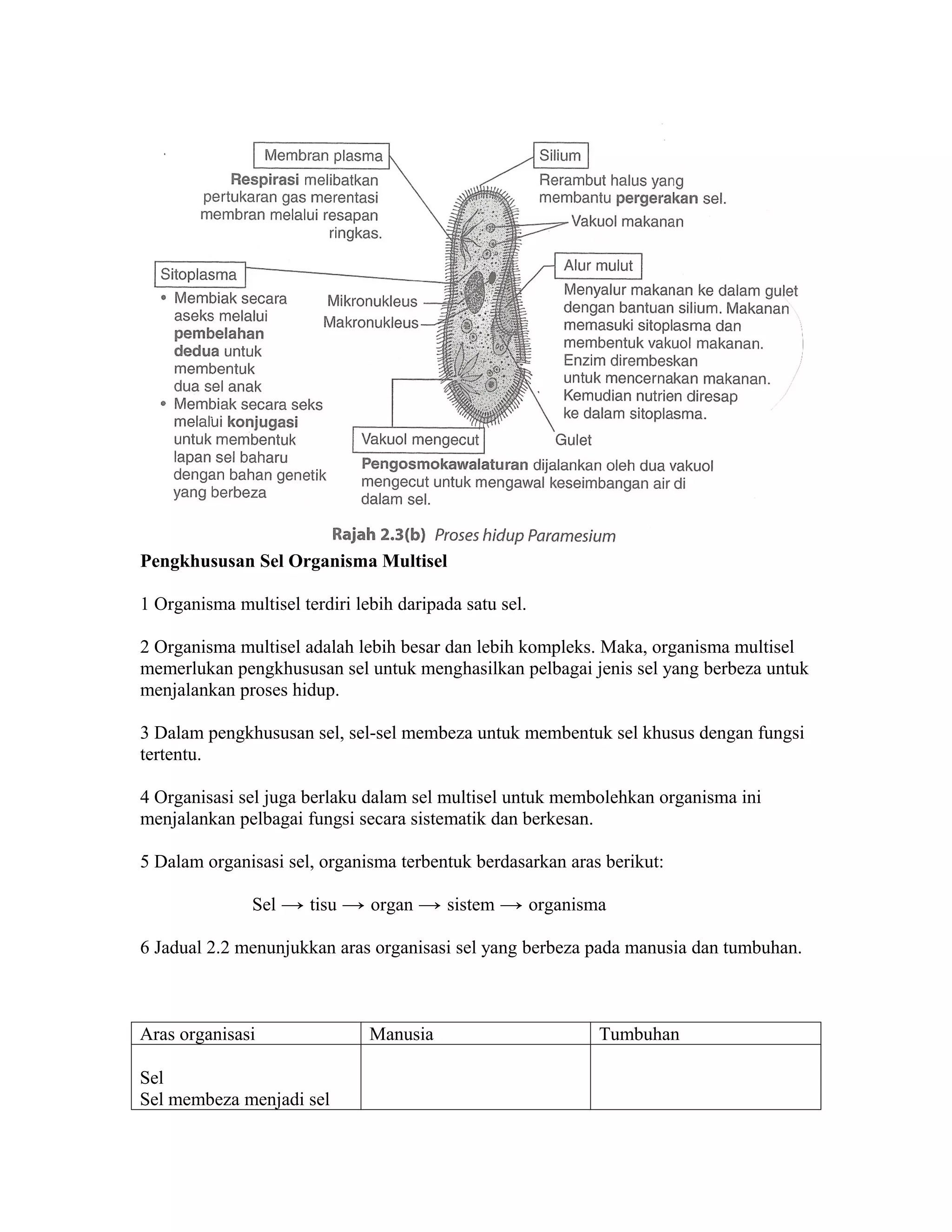 Topik 2 struktur dan organisasi sel | DOC