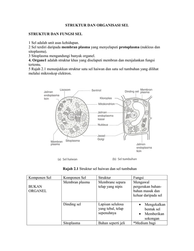 Topik 2 struktur dan organisasi sel | DOC
