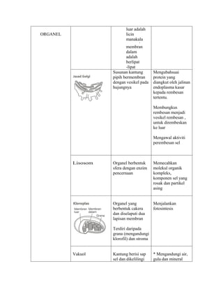 Topik 2 struktur dan organisasi sel | DOC