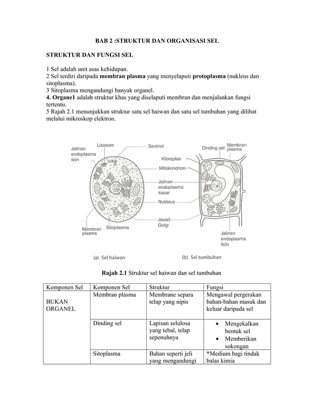 Topik 2 struktur dan organisasi sel (Ting. 4 Biologi) | DOC