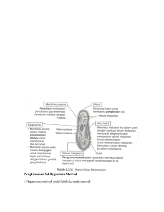 Topik 2 struktur dan organisasi sel (Ting. 4 Biologi) | DOC