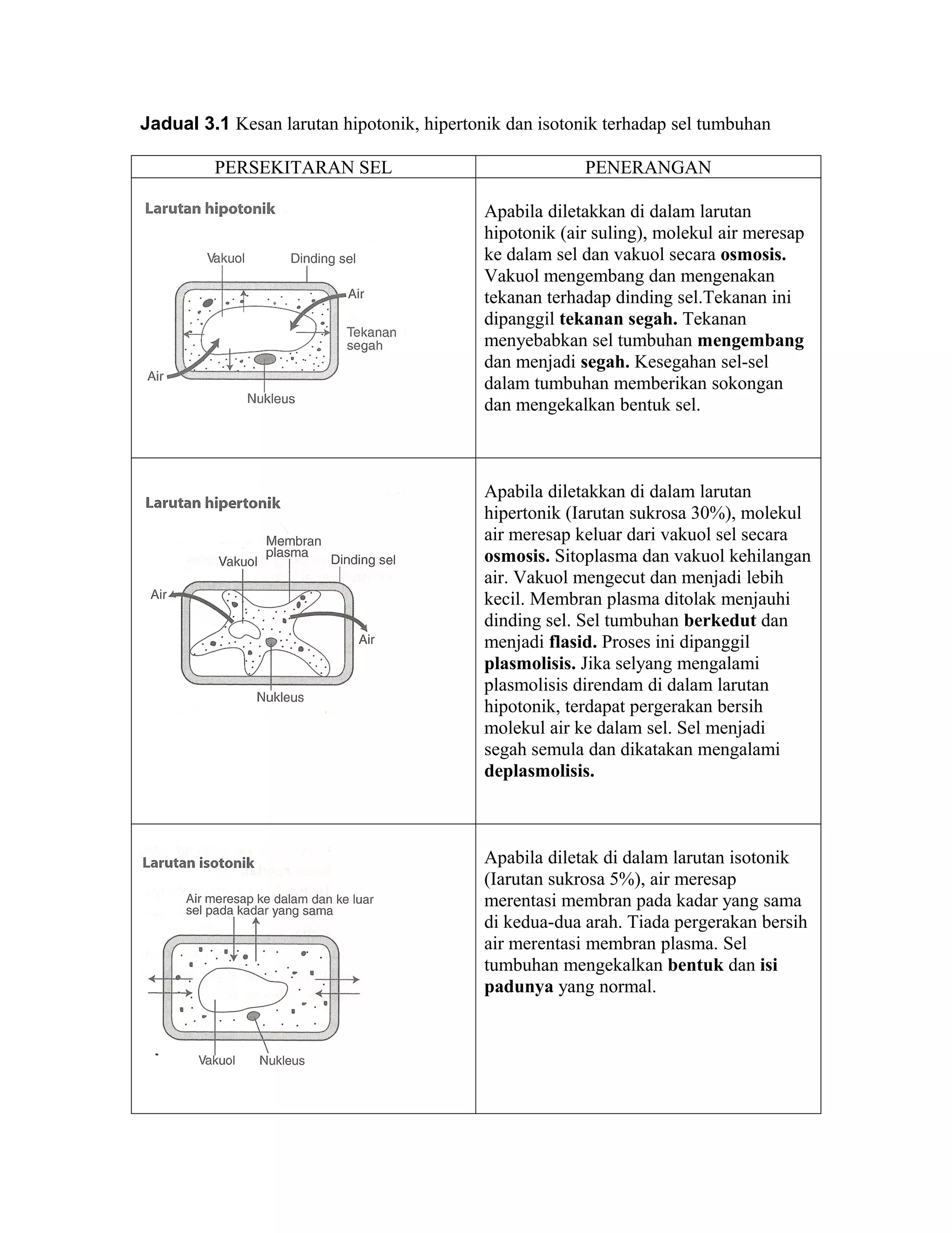 Topik 3 pergerakan merentas membran plasma | DOC