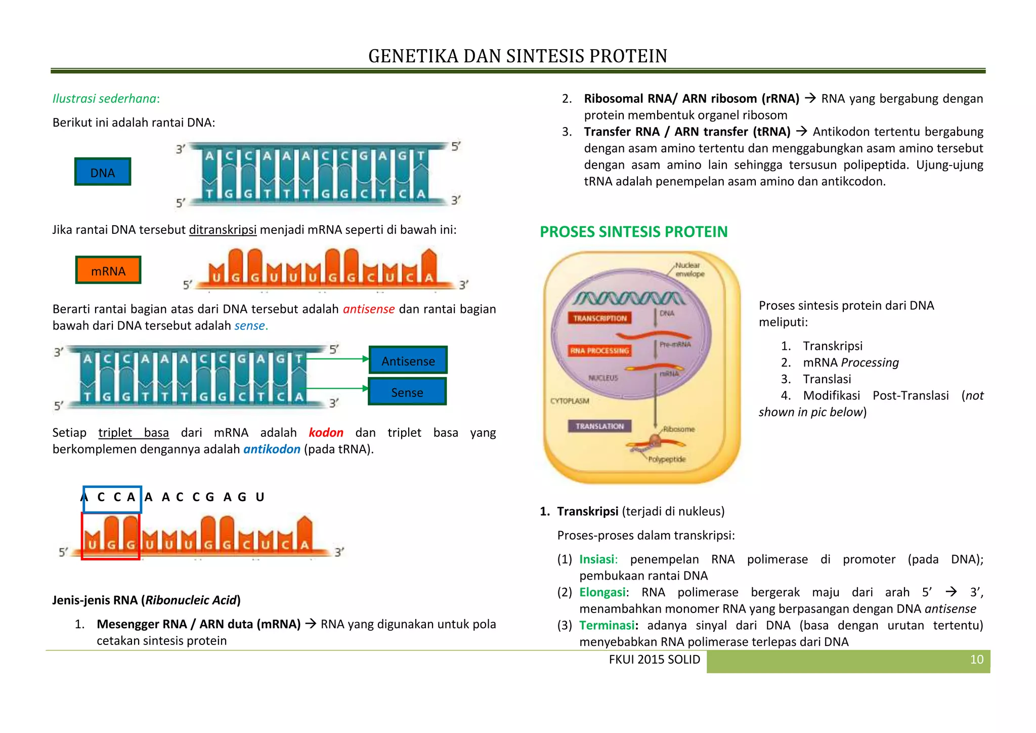 Topik 3 genetika | PDF