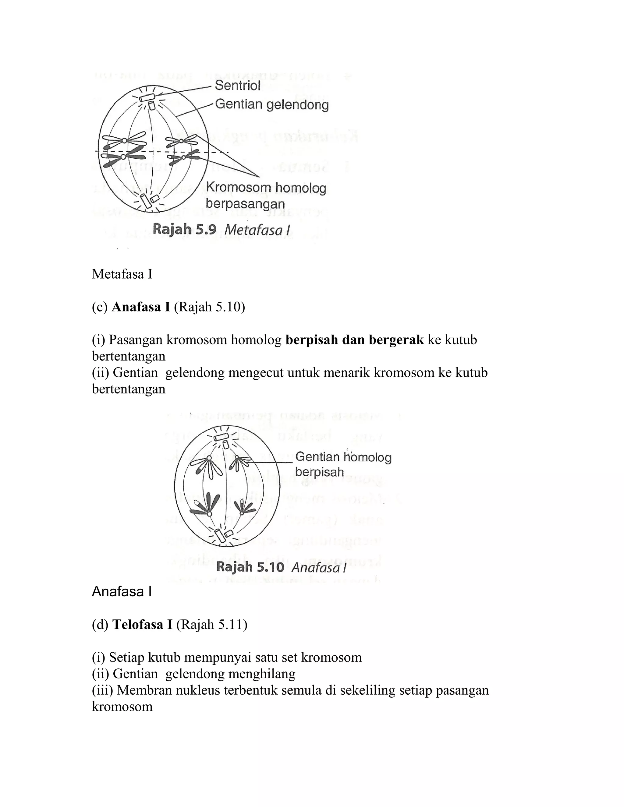 Topik 5 pembahagian sel | DOC
