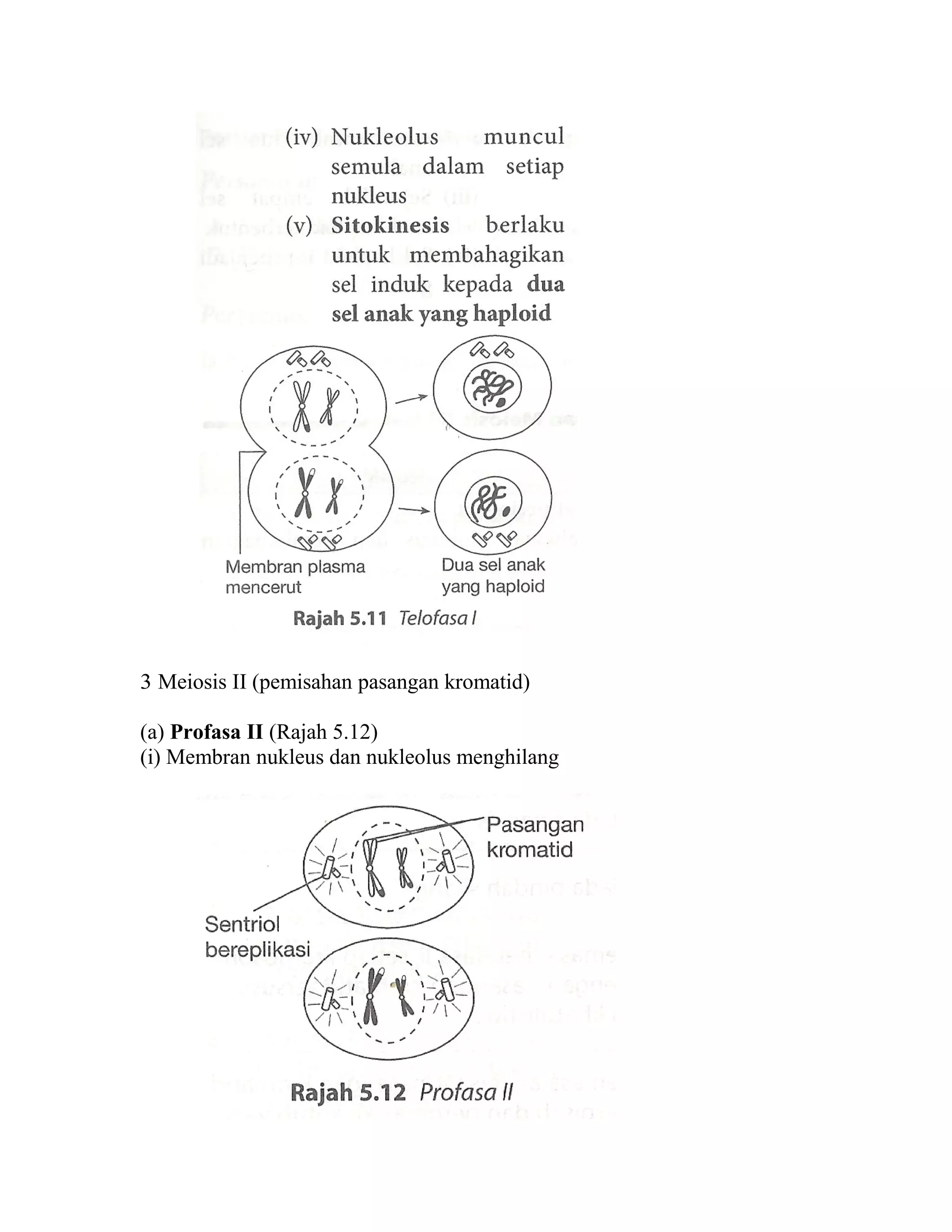 Topik 5 pembahagian sel | DOC