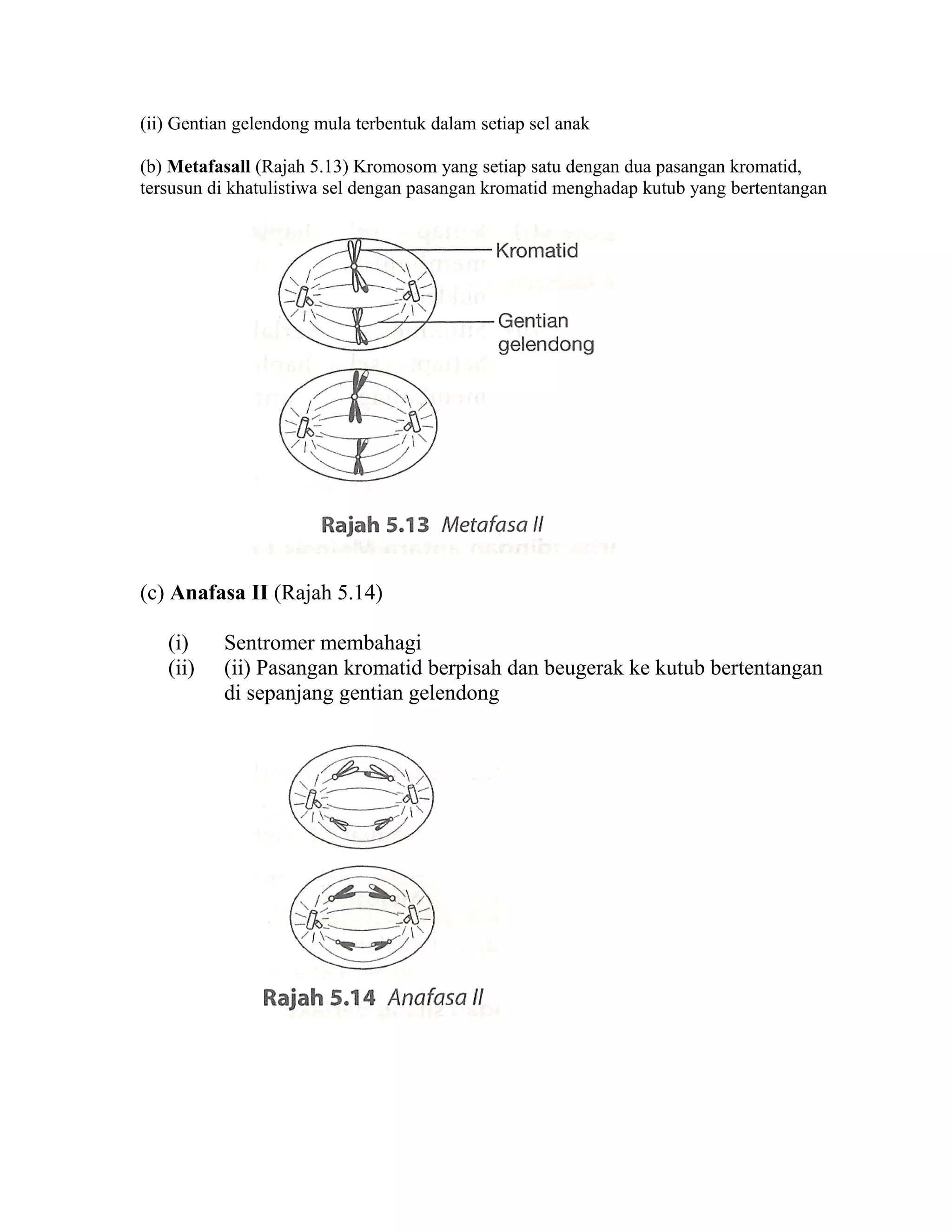Topik 5 pembahagian sel | DOC