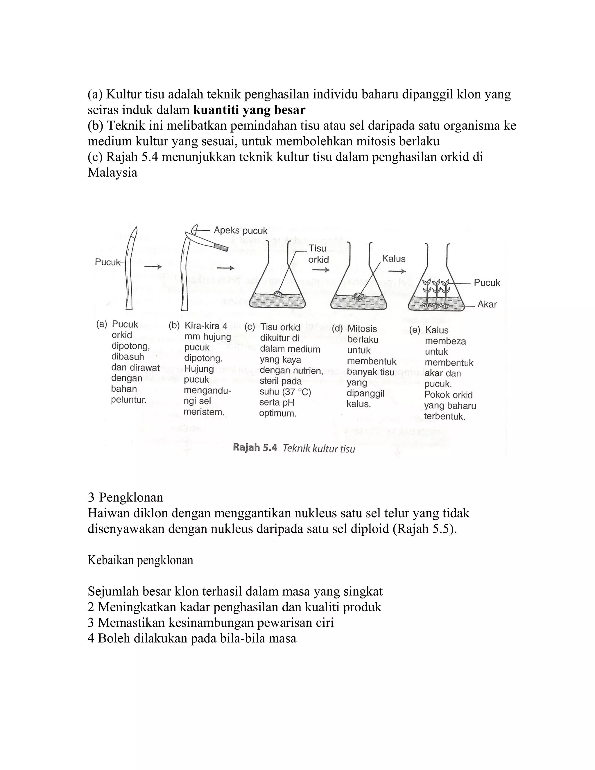 Topik 5 pembahagian sel | DOC
