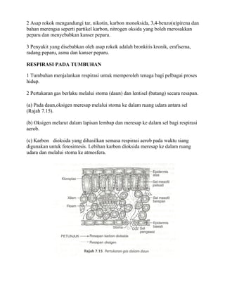 Topik 7: Nota Respirasi | DOC