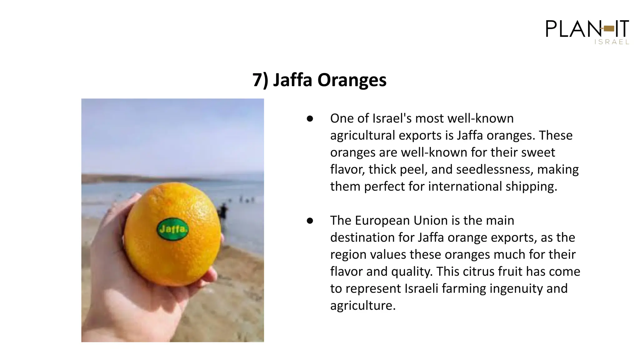 Top Israeli Products and Brands - Plan it israel.pdf