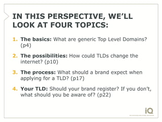 Generic Top Level Domain Program For Brands | PPTX | Web Hosting | Internet