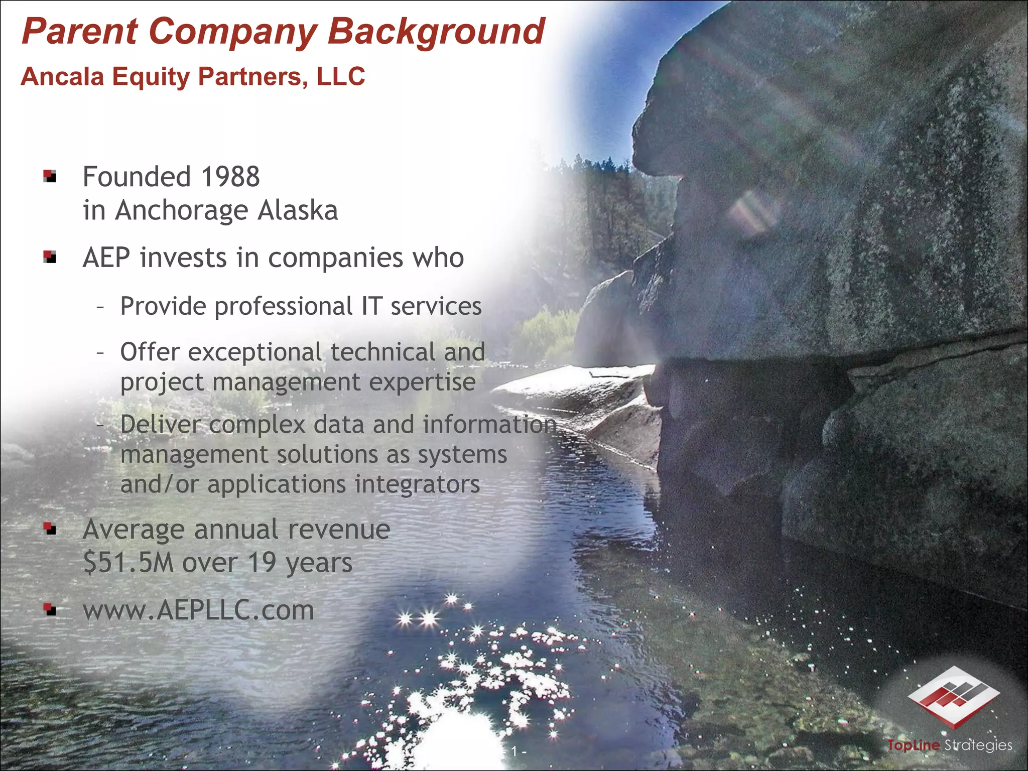 TopLine Strategies Overview | PPT