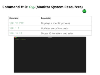 Top Linux 10 Commands for Windows Admins | PPT