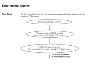 Topo Reaction