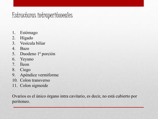 Topografia abdominal y peritoneal - Esteban torres | PPTX