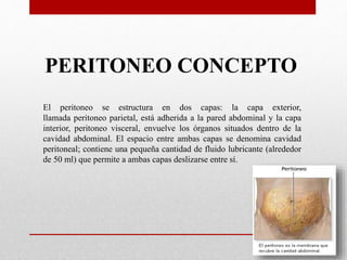 Topografia abdominal y peritoneal - Esteban torres | PPTX