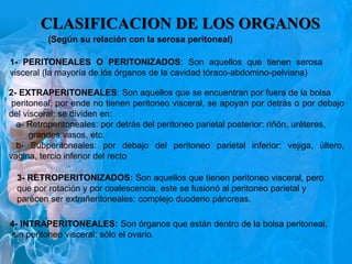 Topografia abdominal y peritoneo | PPTX