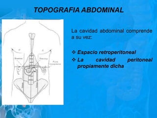 Topografia abdominal y peritoneo | PPTX