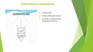 Topografia del abdomen anatomia ii | PPSX