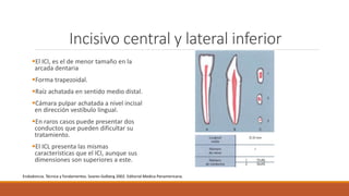 TOPOGRAFIA DE LOS ORGANOS DENTALES.pptx