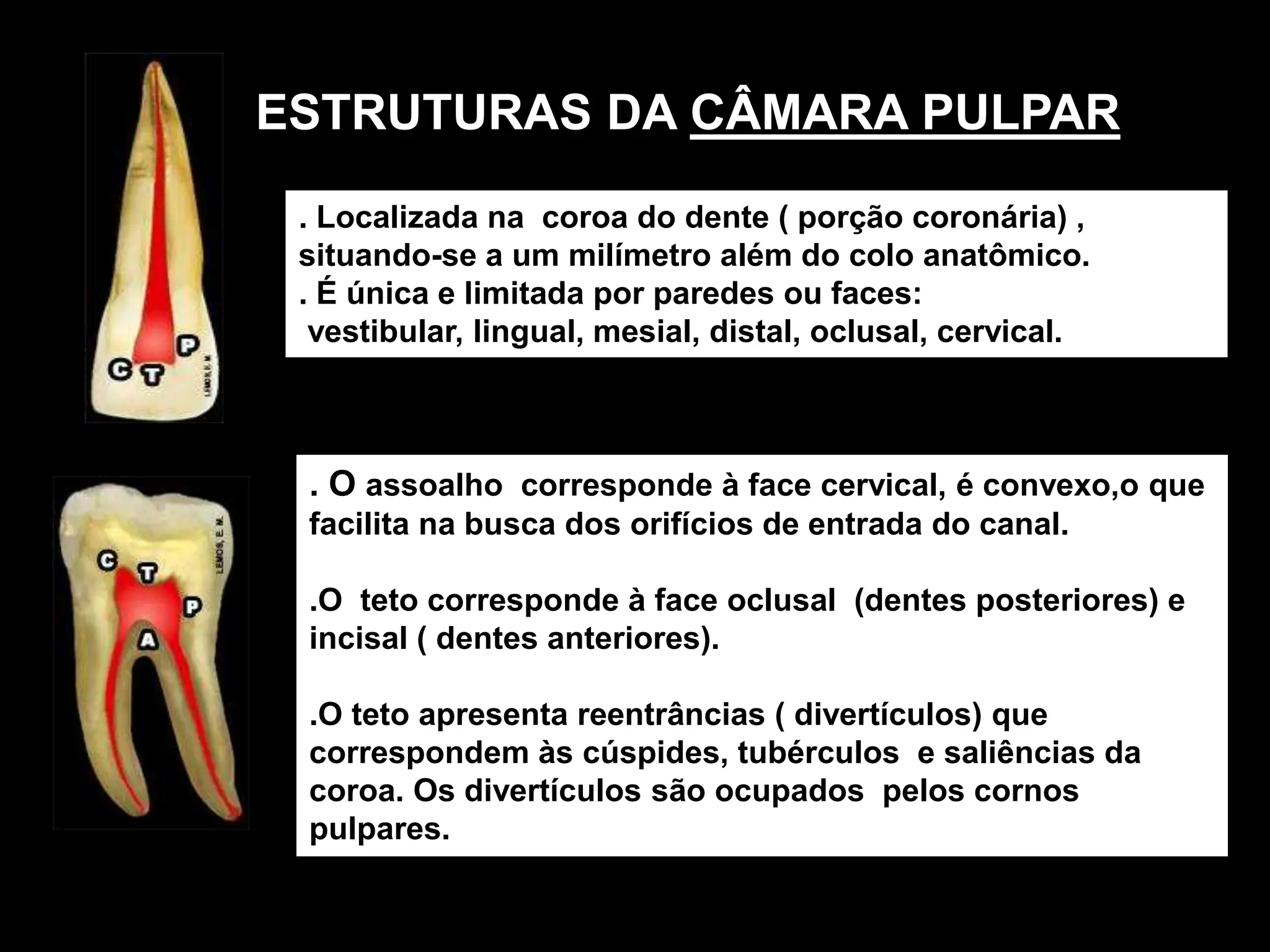 Topografia_e_anatomia_da_cavidade_pulpar.pdf