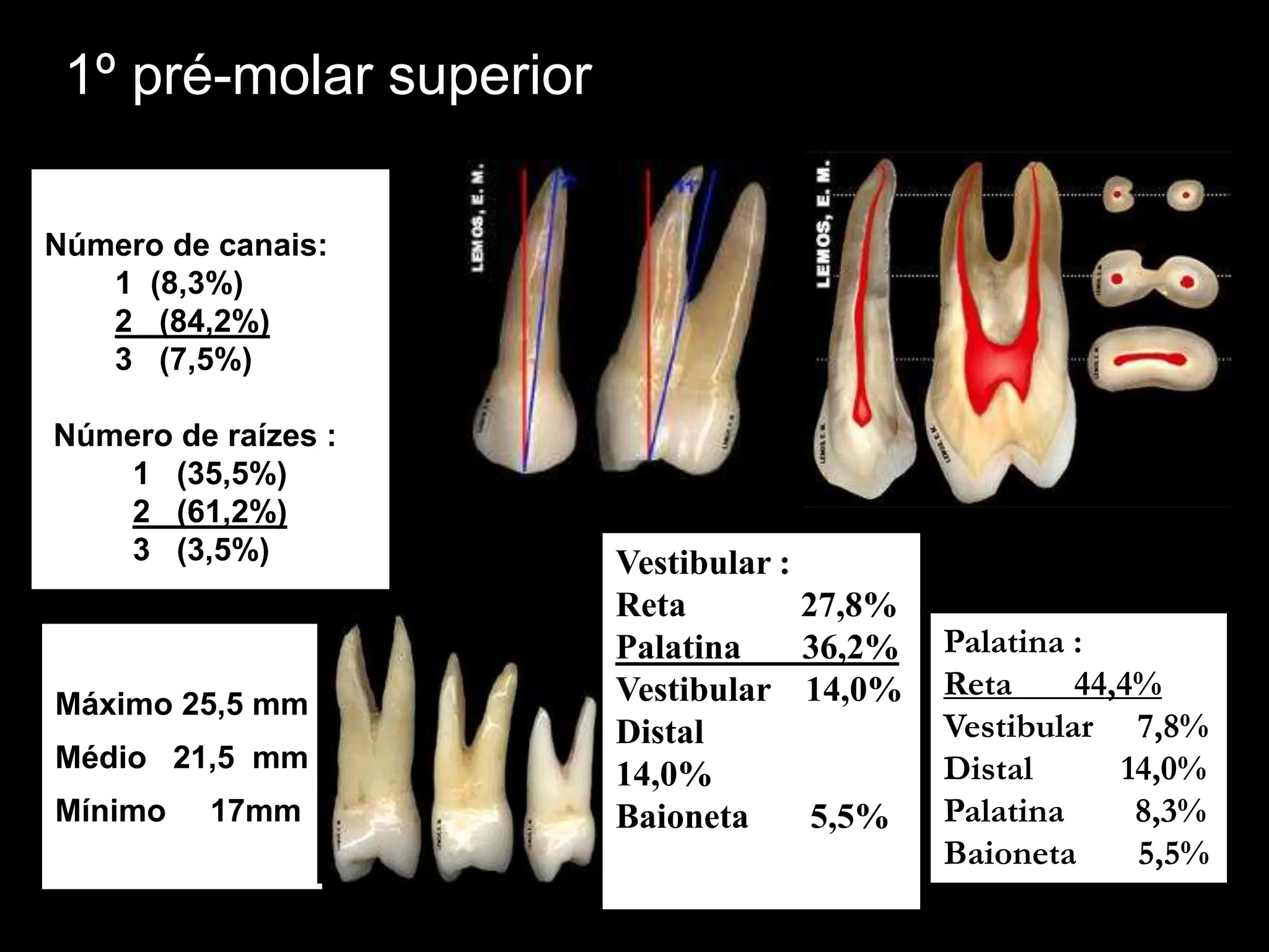 Topografia_e_anatomia_da_cavidade_pulpar.pdf