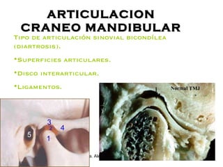 Topografica atm | PPT