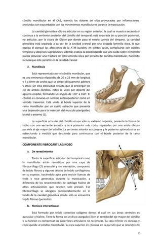 Topografica atm (1) generalidades | PDF