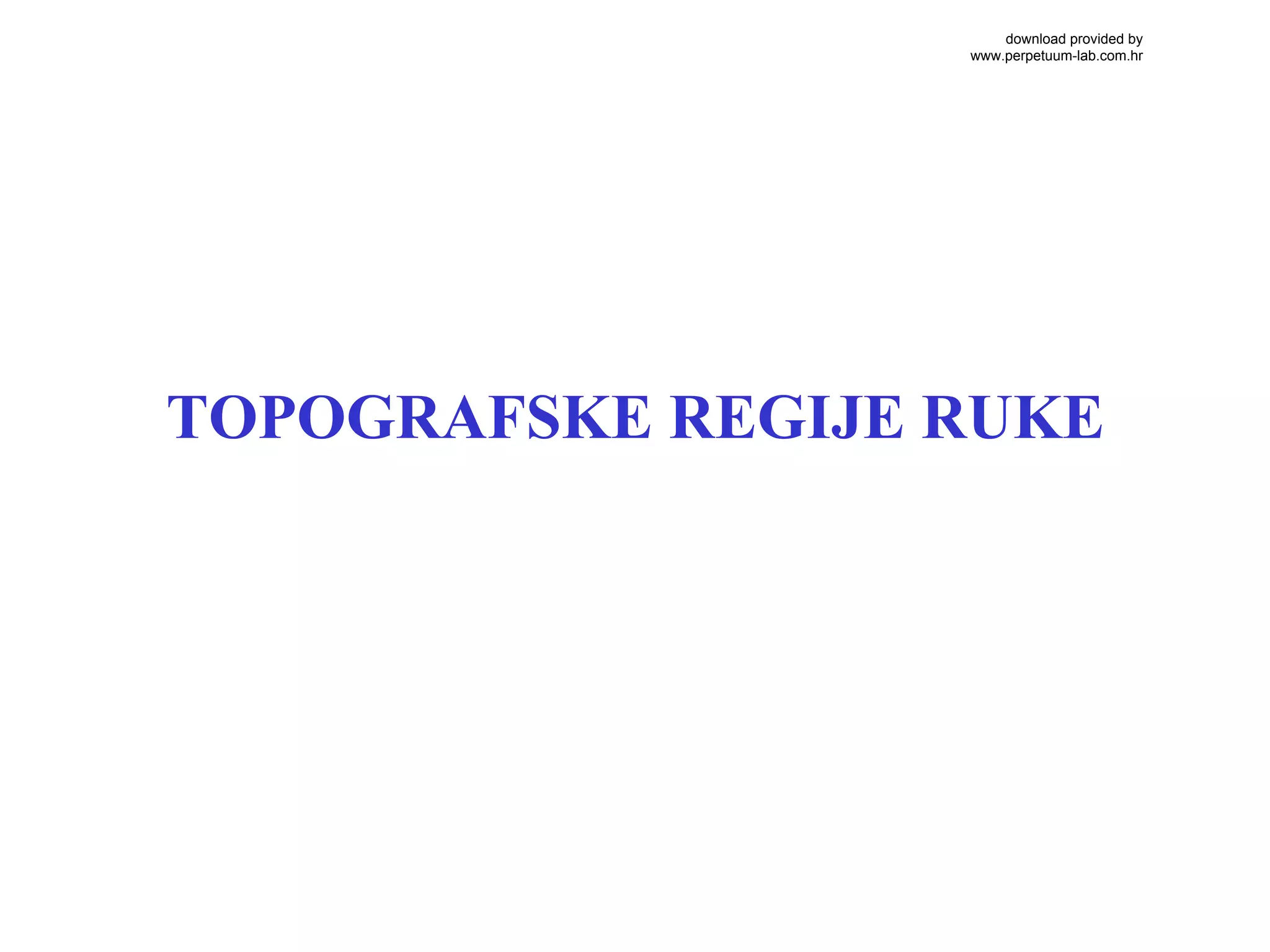 Topografija ruke | PPT