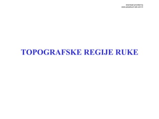 Topografija ruke | PDF
