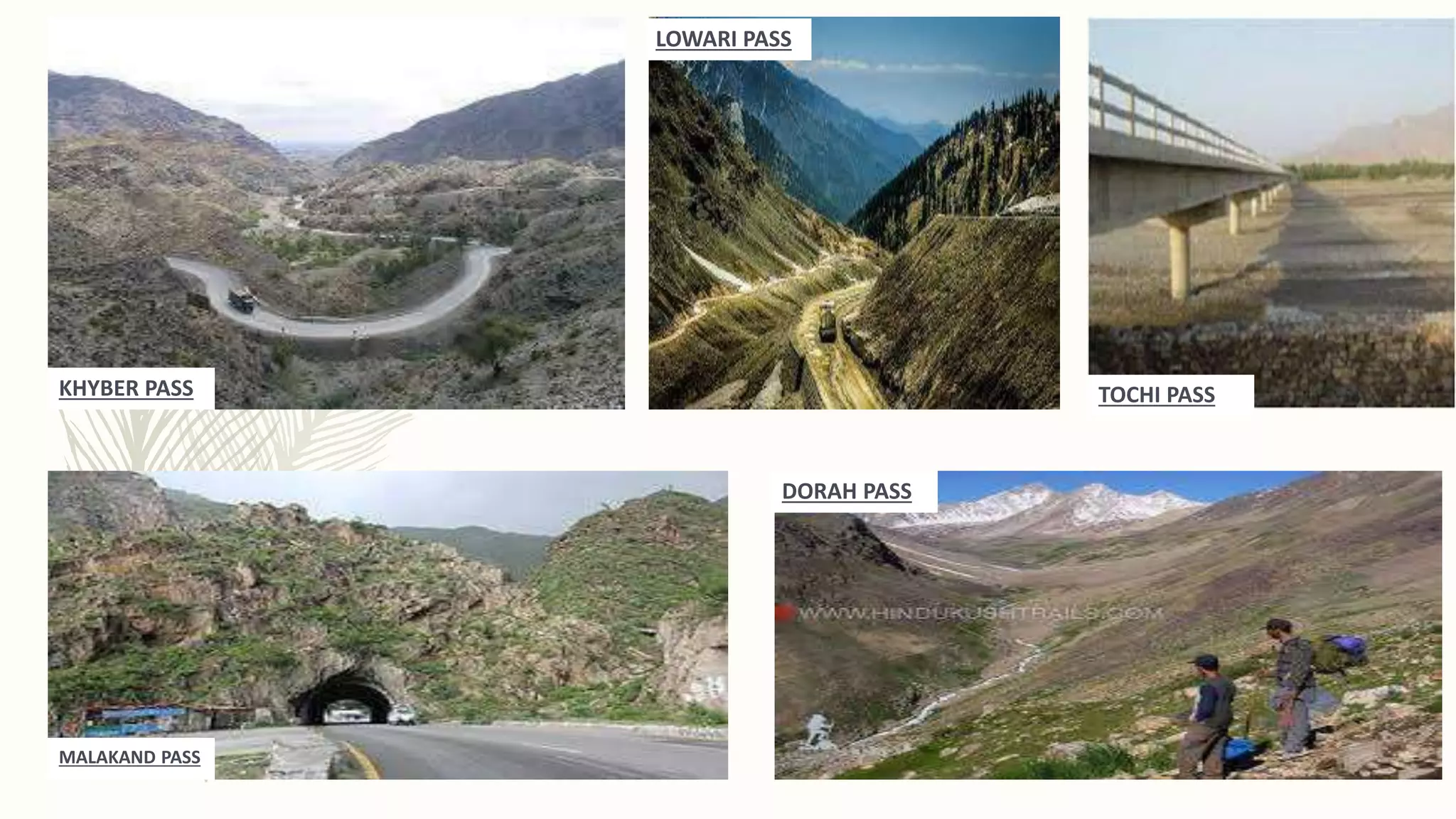 Topography and Topographical Maps | PPTX