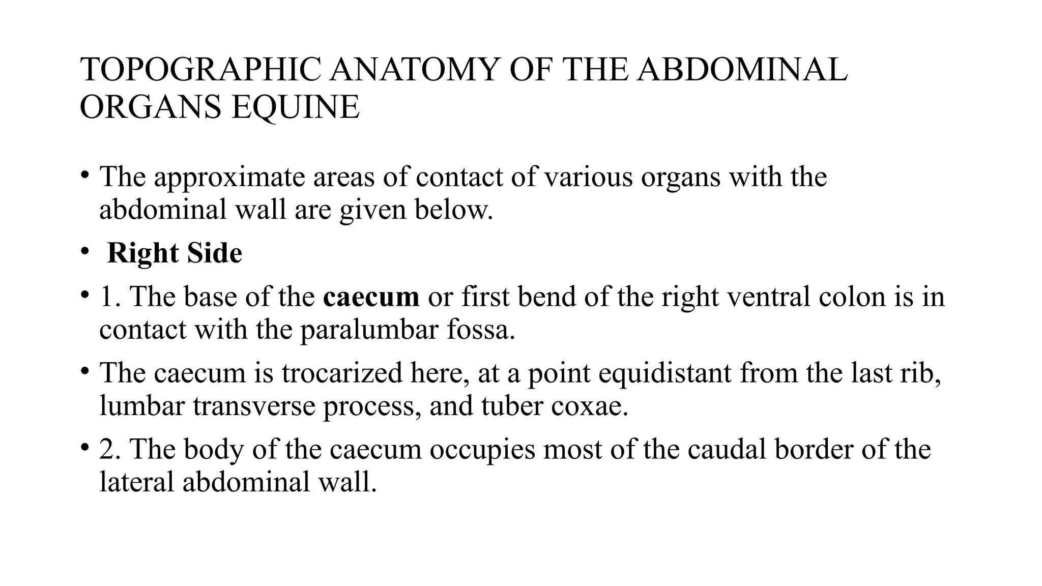 TOPOGRAPHIC ANATOMY OF ABDOMINAL ORGANS.pptx