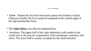 TOPOGRAPHIC ANATOMY OF ABDOMINAL ORGANS.pptx