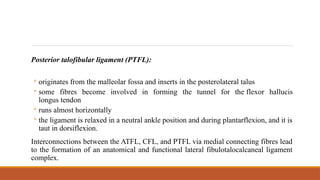 Topographic Anatomy of the Ankle and foot, arches of foot. Dr Musawir ...