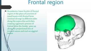 Topographic anatomy of the brain and brain part of the skull | PPTX