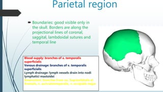 Topographic anatomy of the brain and brain part of the skull | PPTX