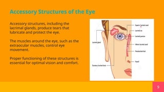 Topographic Anatomy Of The Organ Of Vision (1).pptx