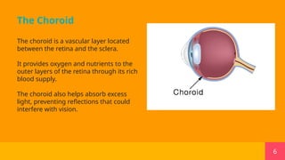 Topographic Anatomy Of The Organ Of Vision (1).pptx