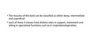 Topographic anatomy of upper back.pptx