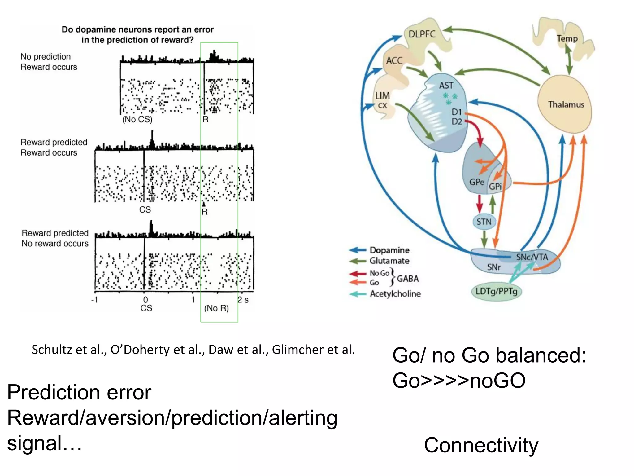 Topography and functional significance of the dopaminesgic dysfunction ...
