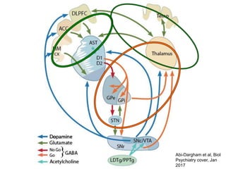 Topography and functional significance of the dopaminesgic dysfunction ...