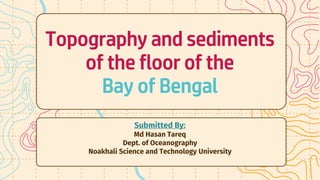 Topography and sediments of the floor of the Bay of Bengal | PDF