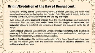 Topography and sediments of the floor of the Bay of Bengal | PDF