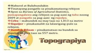 Topograpiya ng mga Rehiyon sa Visayas | PPTX