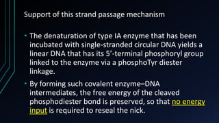 Topoisomerases | PPTX