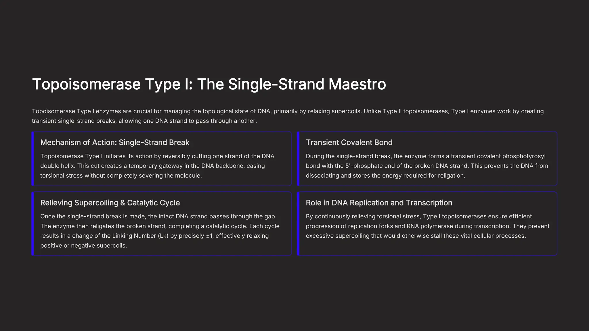 Topoisomerases-Type-I-and-Type-II final.pdf